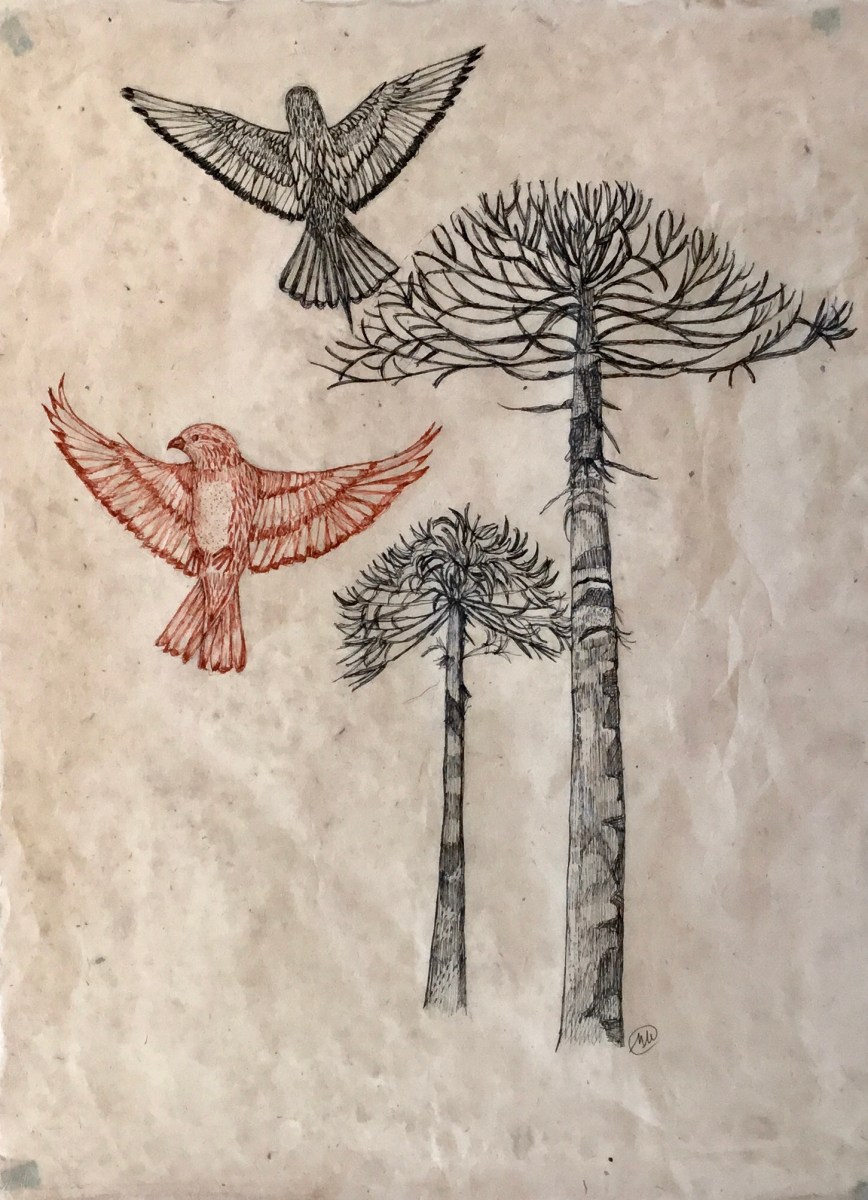 Erasing history – Letters from Athens