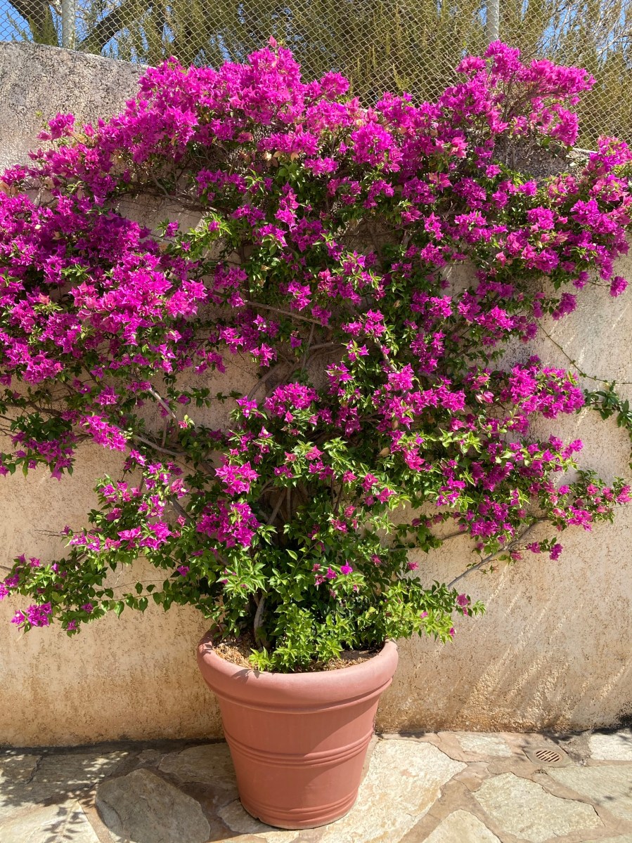 September light – Letters from Athens