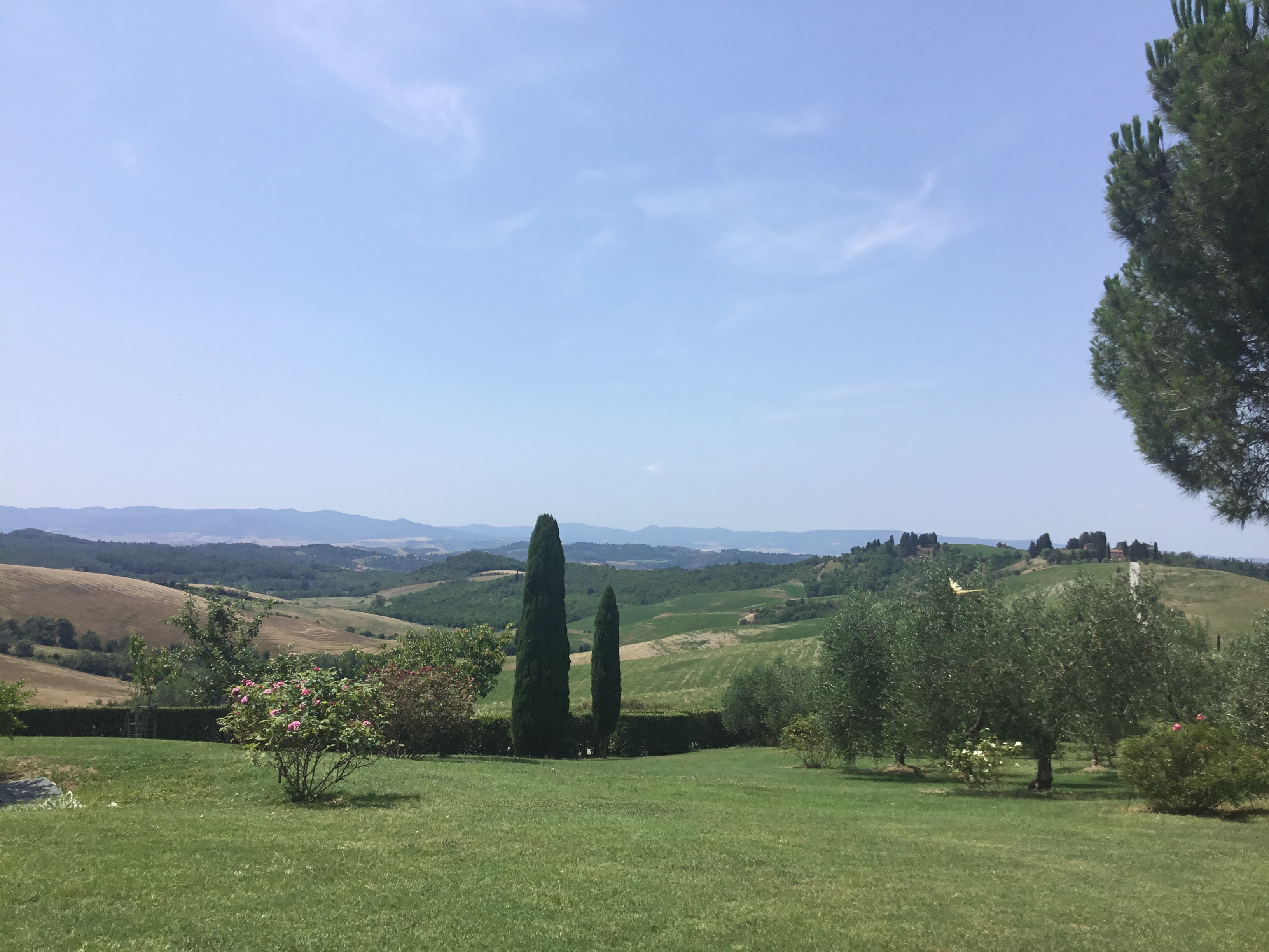 The Tuscan hills – Letters from Athens
