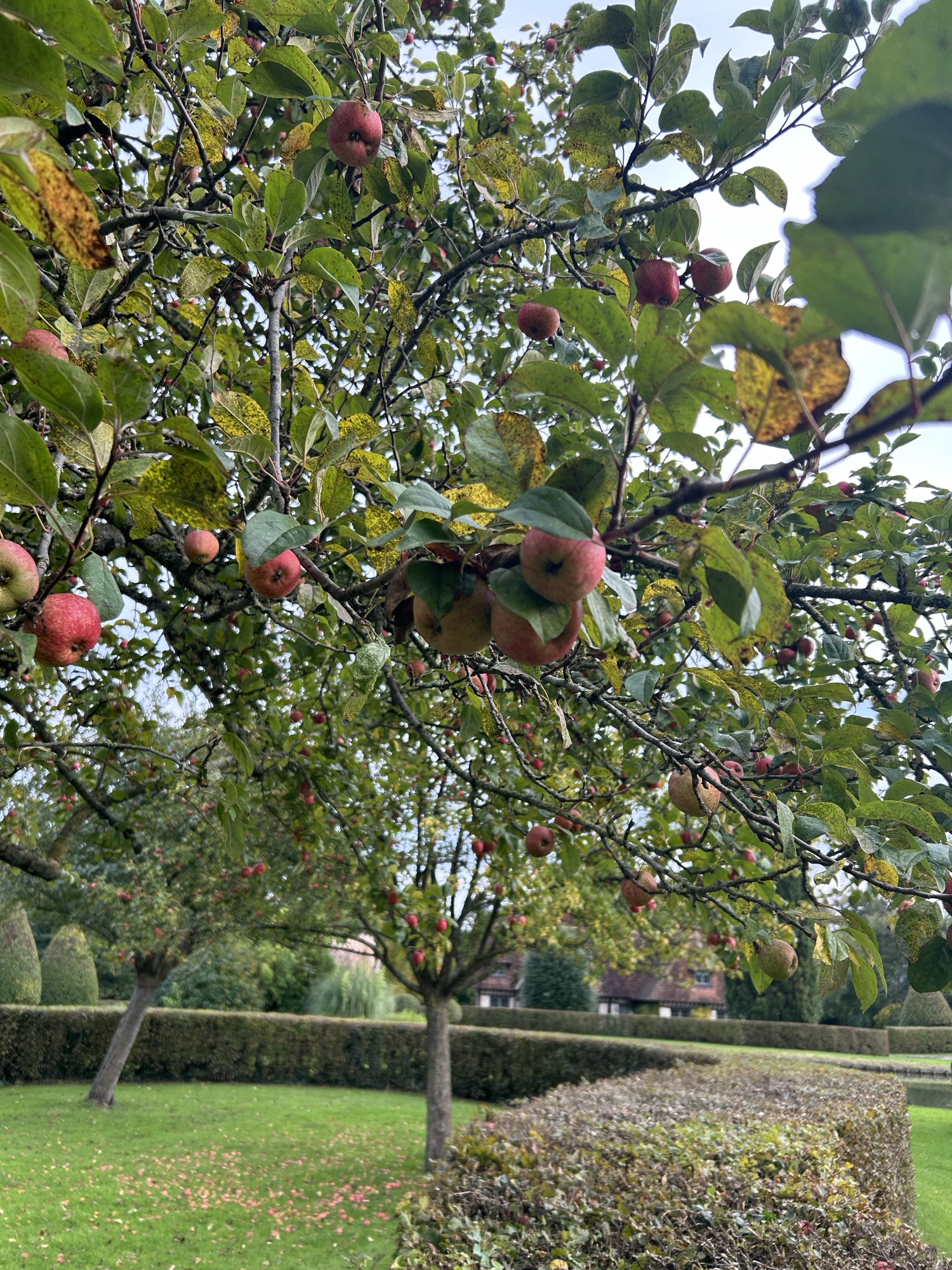 Letters from Athens – A blog about Greece, art, and life in general