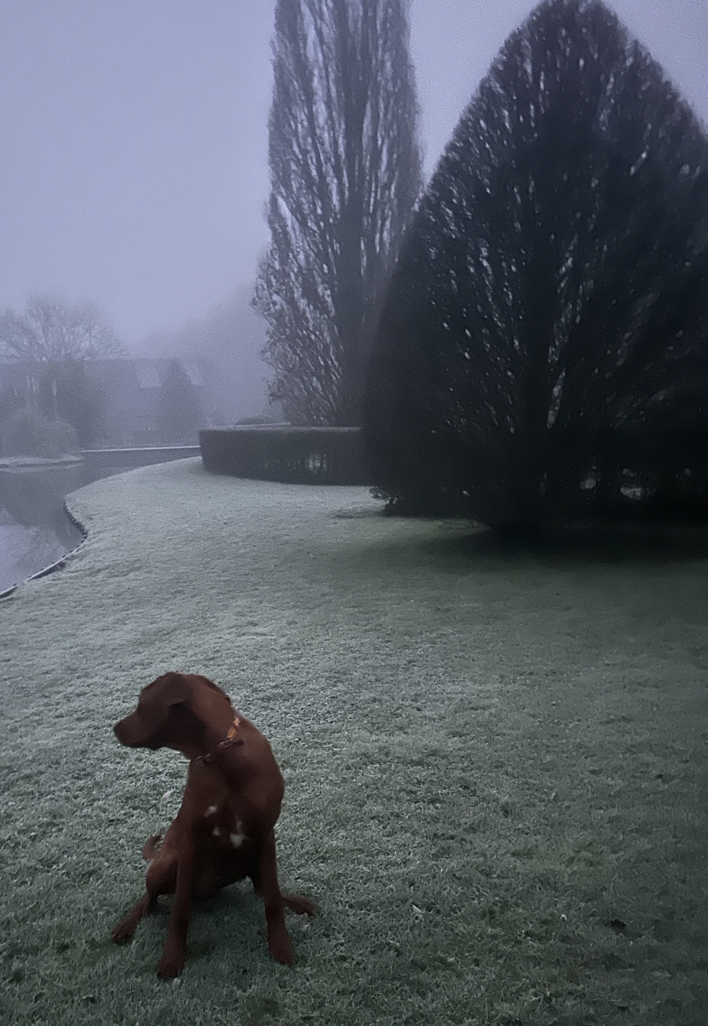 Letters from Athens – A blog about Greece, art, and life in general