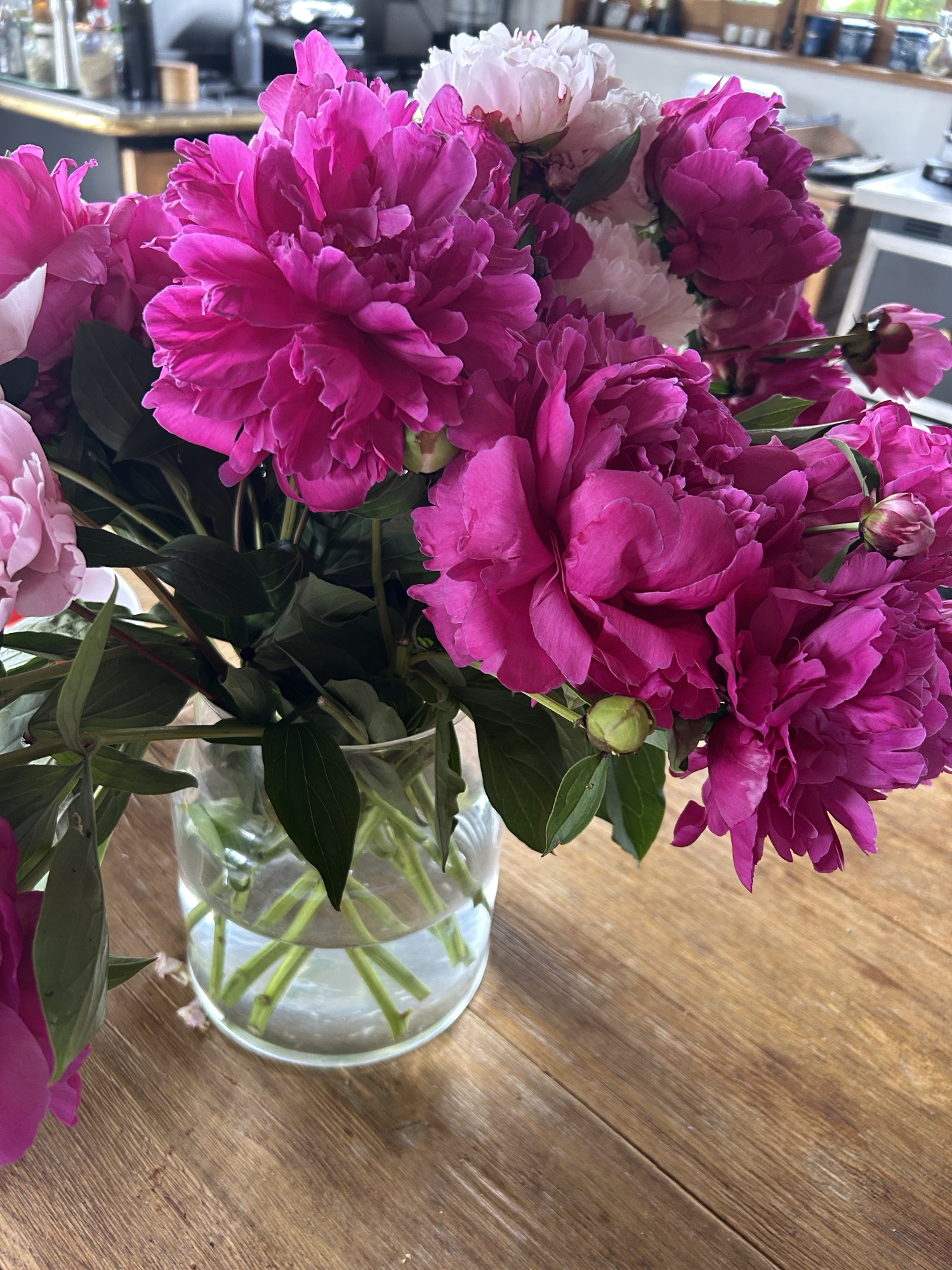 Hope is the thing with feathers – Letters from Athens