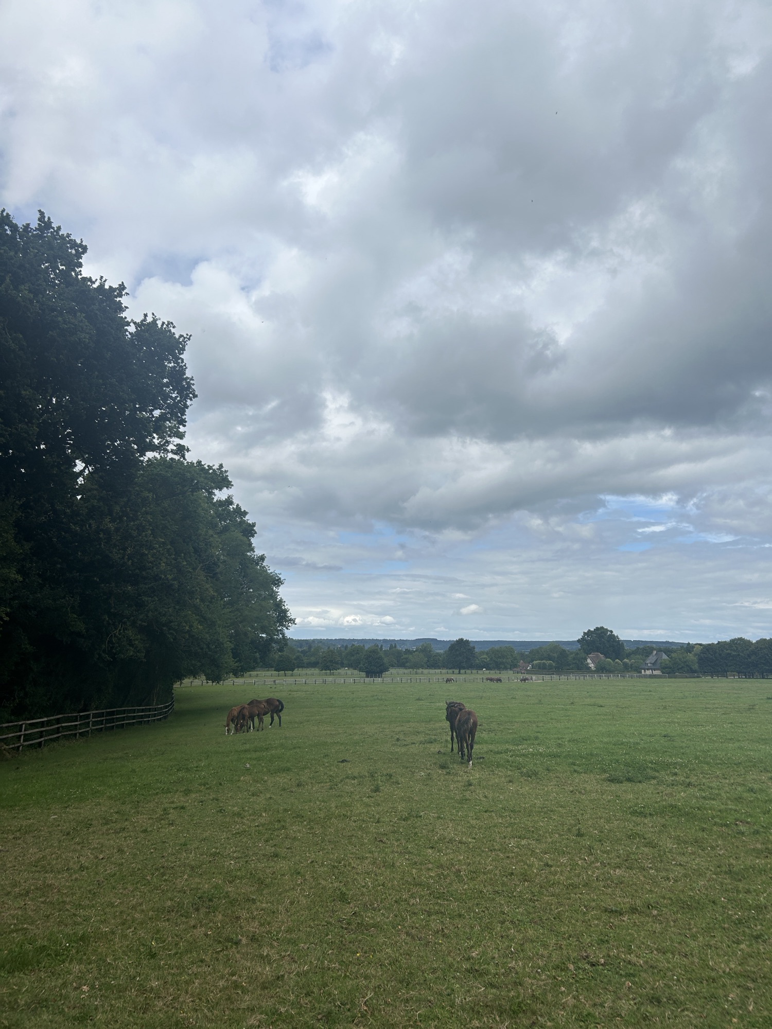 La rentrée – Letters from Athens